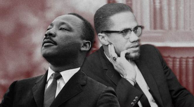 Vadonatúj évaddal folytatódik a National Geographic Emmy-díjas sorozata ...